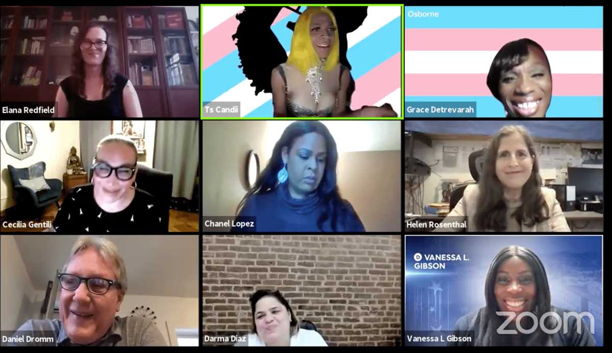 Transgender Advocates Lead Panel on Trans Day of Visibility – Gay City News