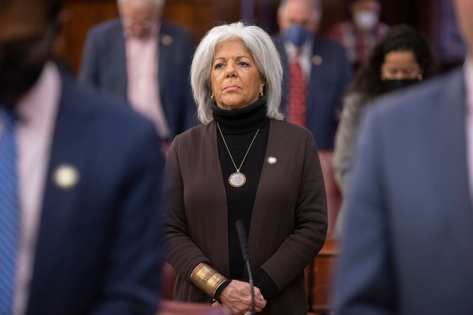 What happened to the Council’s investigation into Vickie Paladino?