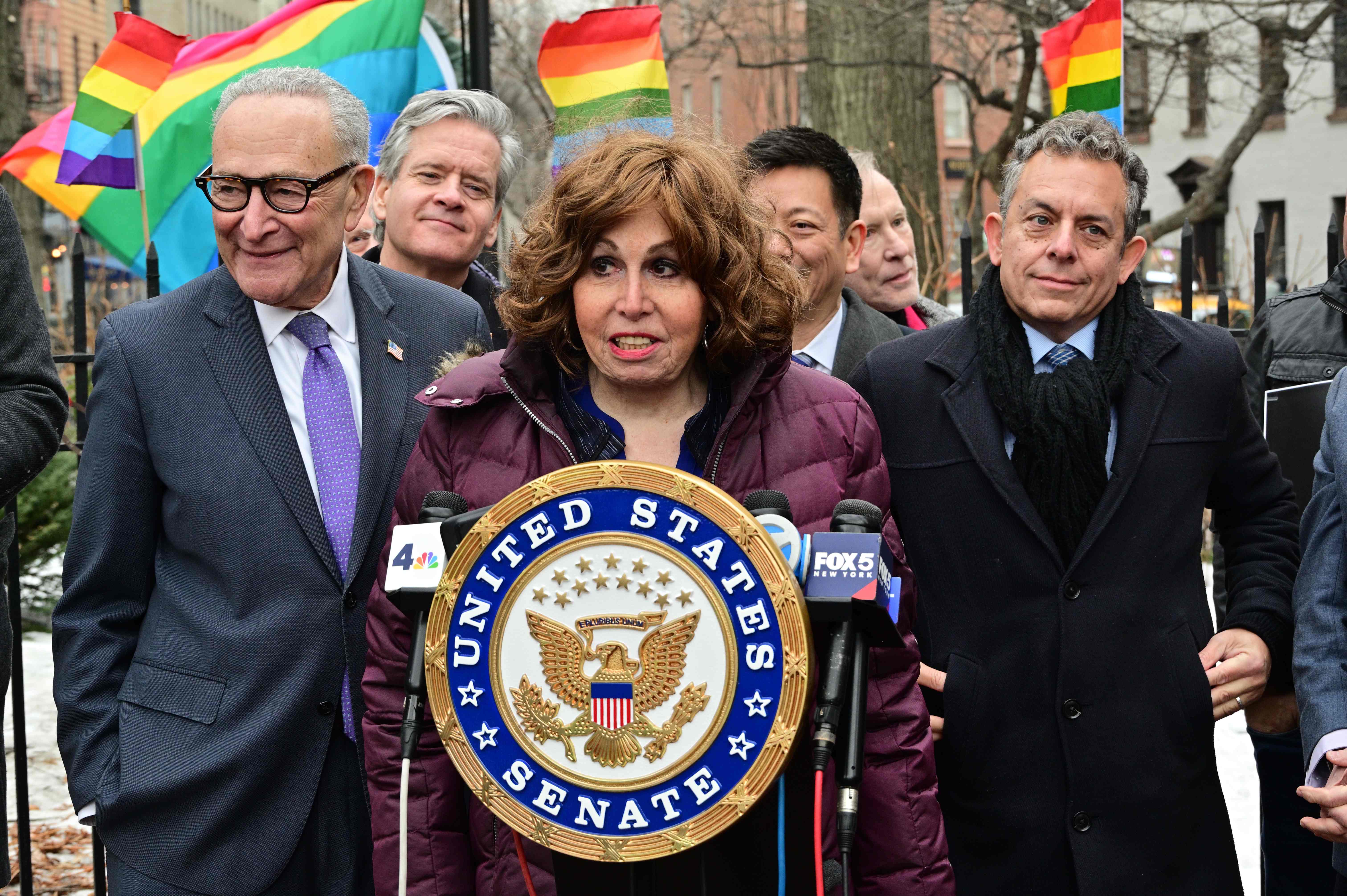 Schumer introduces bill to make Rainbow Flag permanent part of ...